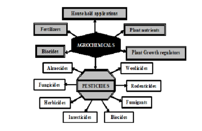 Pesticide Analysis | Pesticide Testing Laboratory | Shri Ram Institute